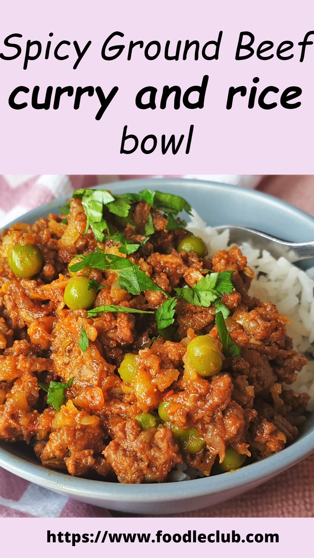Spicy ground beef curry and rice - Foodle Club