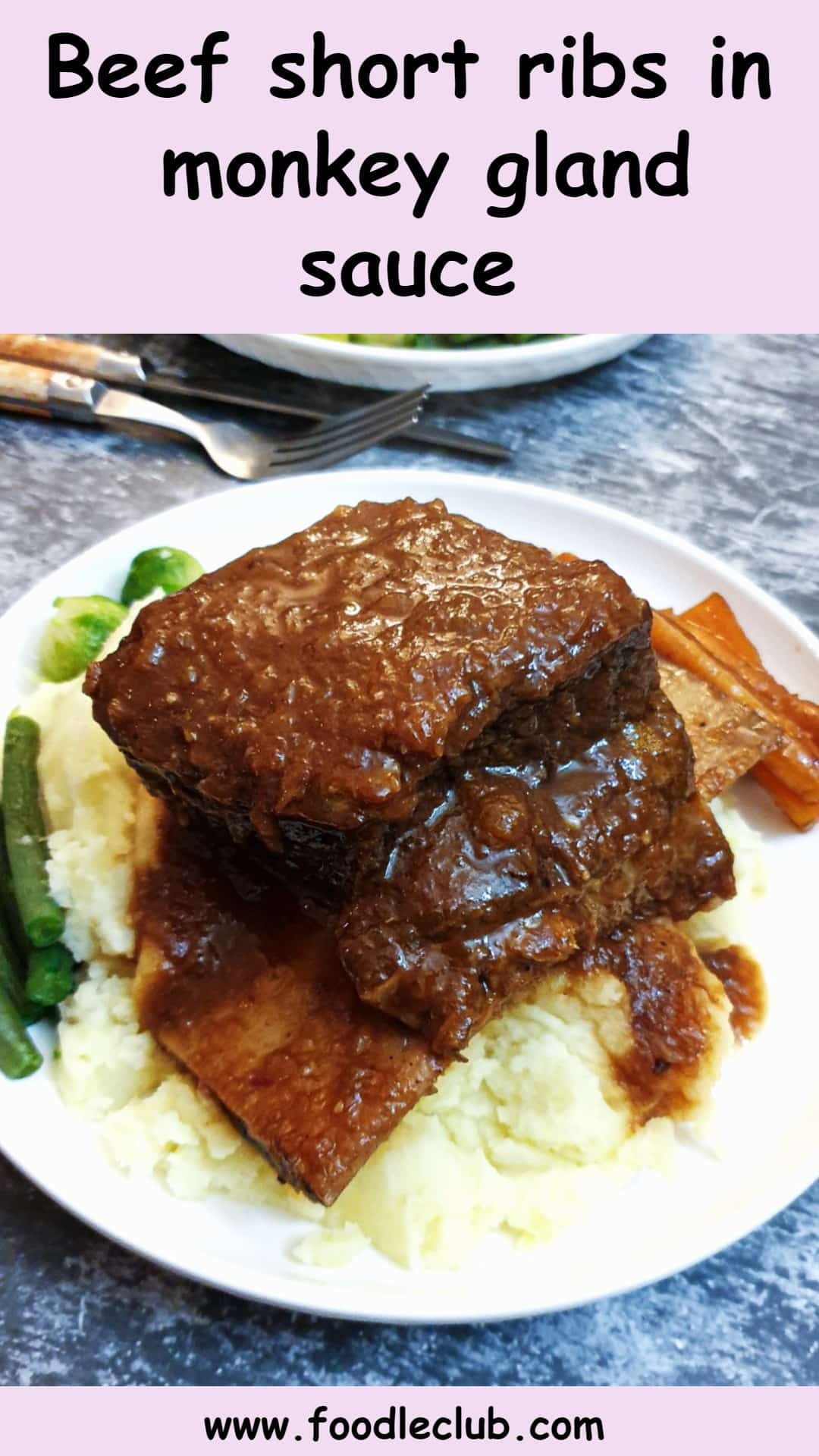 Slow-cooker short ribs in monkey gland sauce - Foodle Club