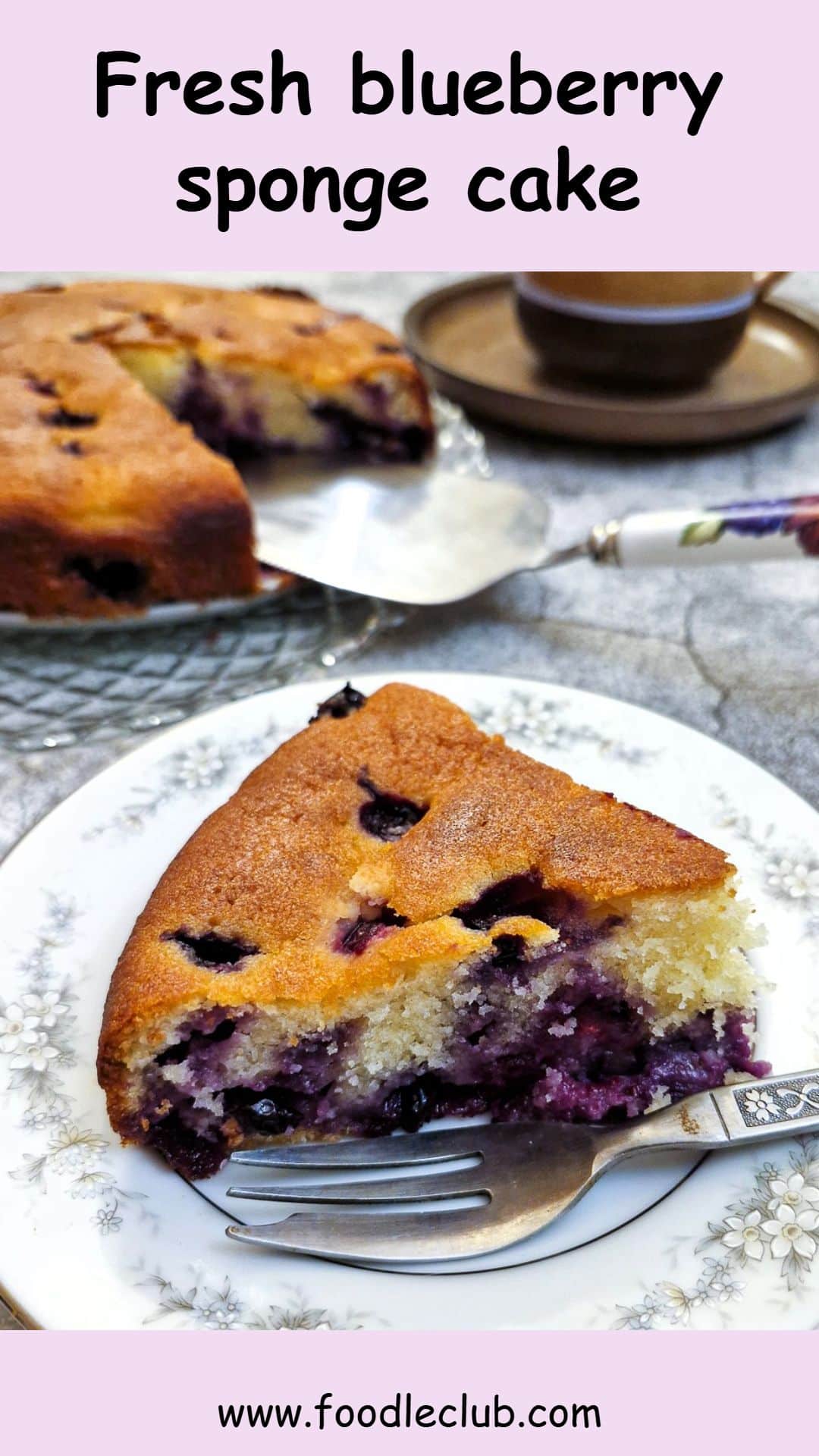 Blueberry sponge cake - Foodle Club