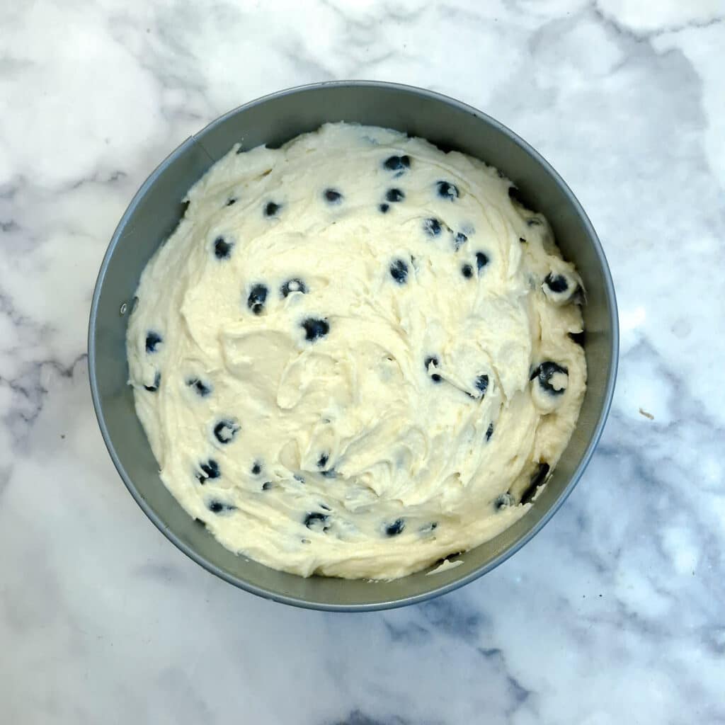 Blueberry sponge cake - Foodle Club